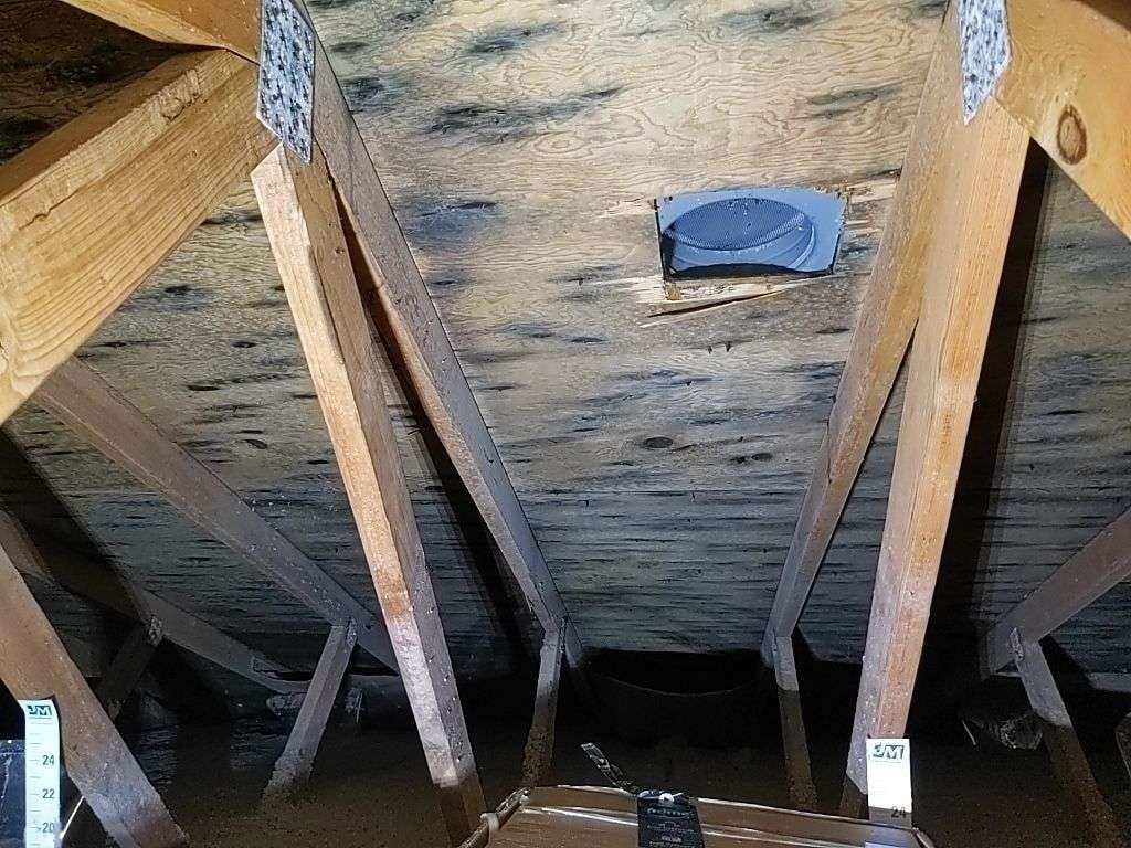 What Are the Signs That My Attic Does Not Have Proper Ventilation?