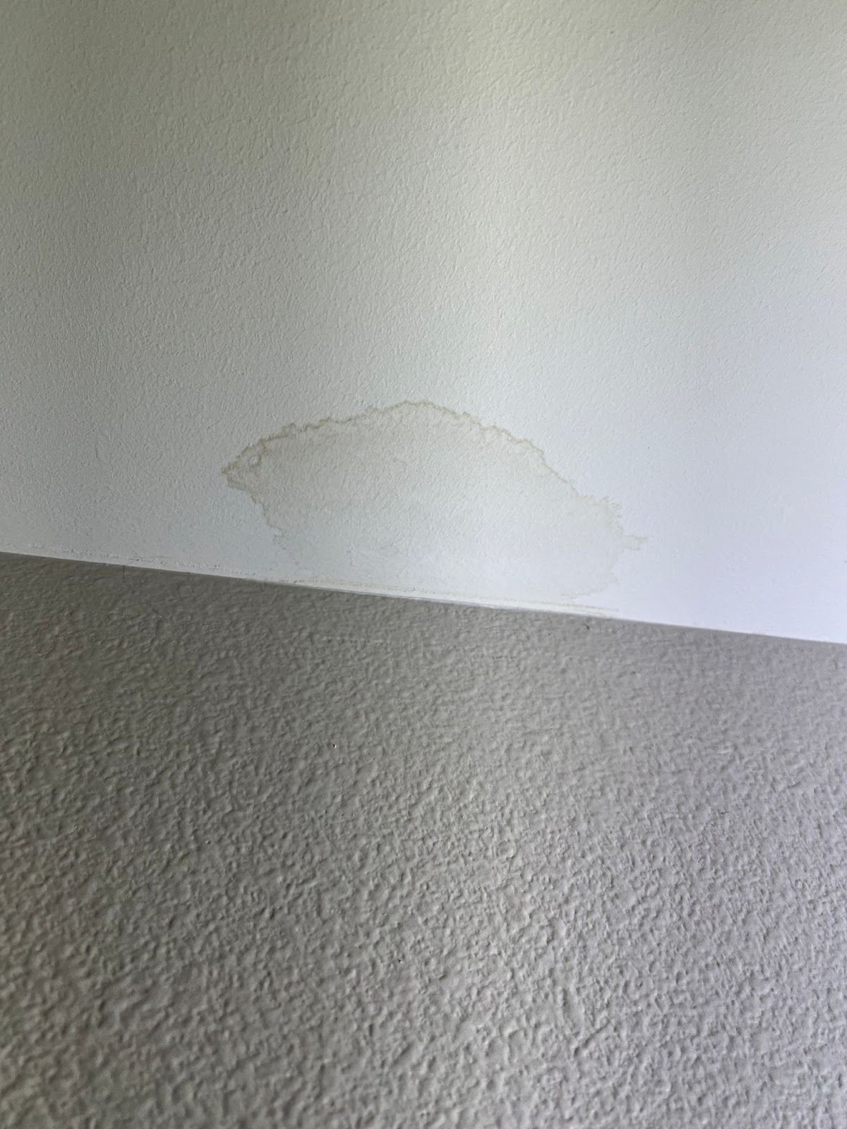 Roof Leak vs. Condensation: How Do I Tell the Difference?