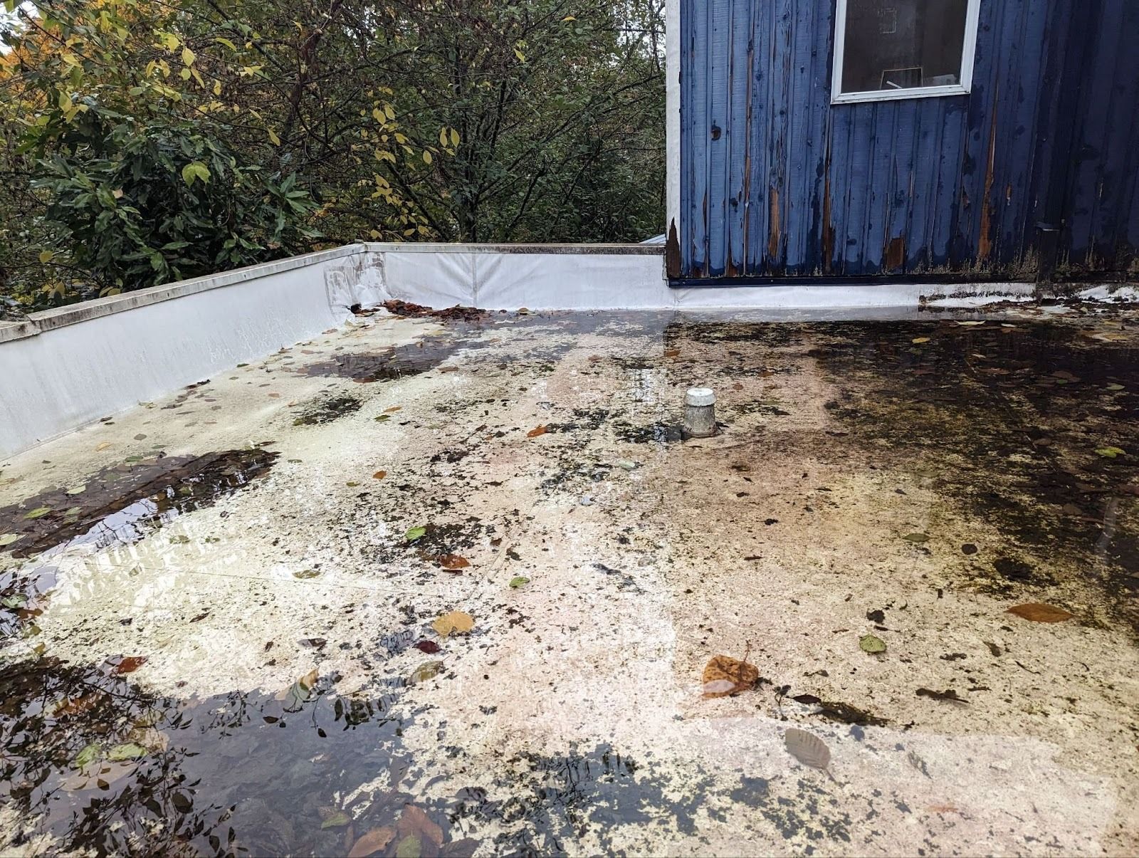 Was My Flat Roof Installed Correctly in Seattle? | RoofSmart