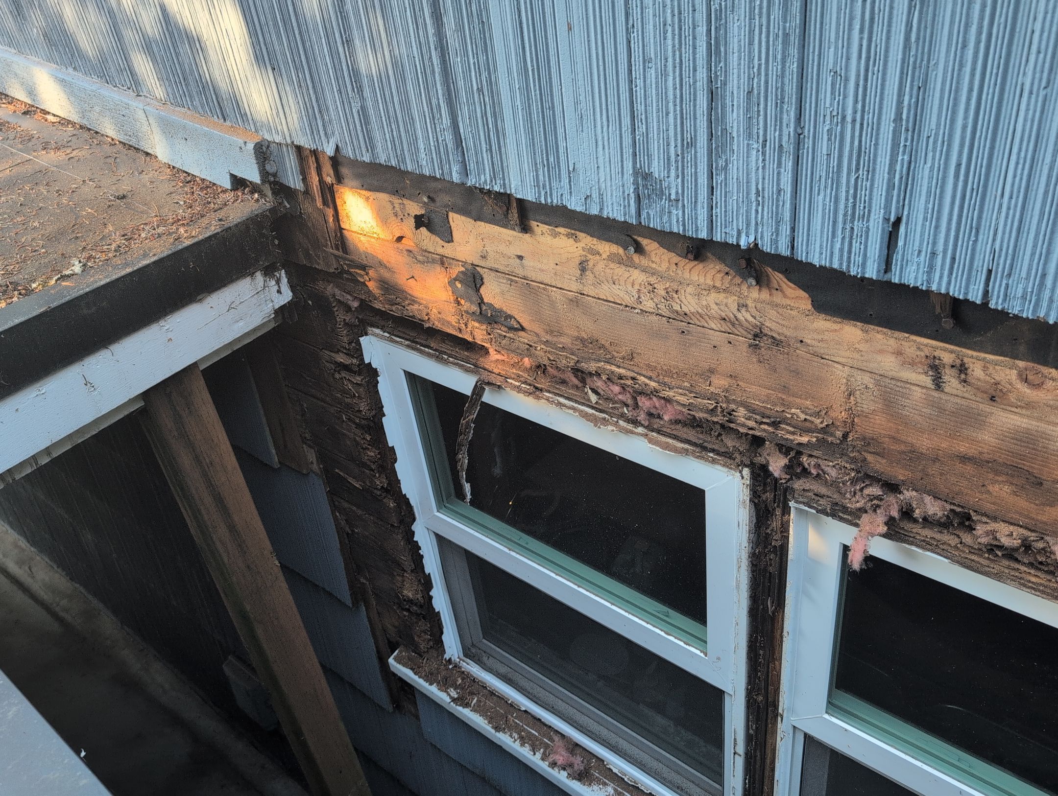 Why Is My Window or Door Leaking in Seattle?